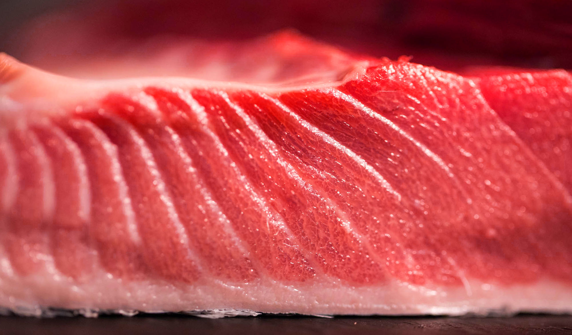 Bluefiná Bluefin Tuna - Prime Time Seafood